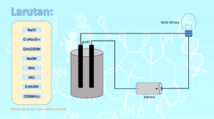 IPA – labvirtual